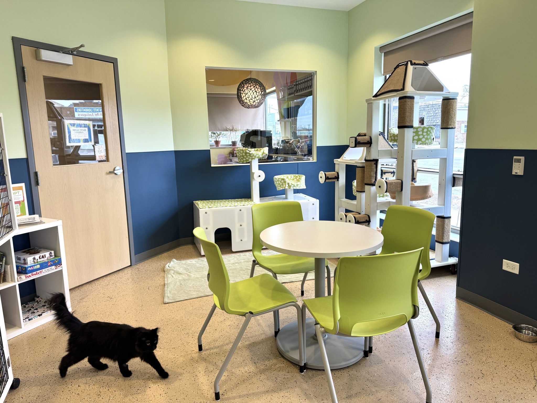 Chicago's Premier Cat Café - Tree House
